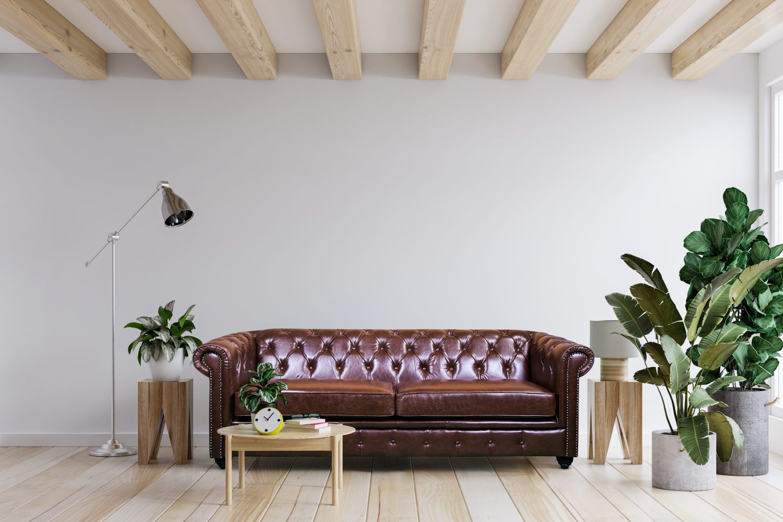 Percival Chesterfield Sofa | Brisbane | Devlin Lounges