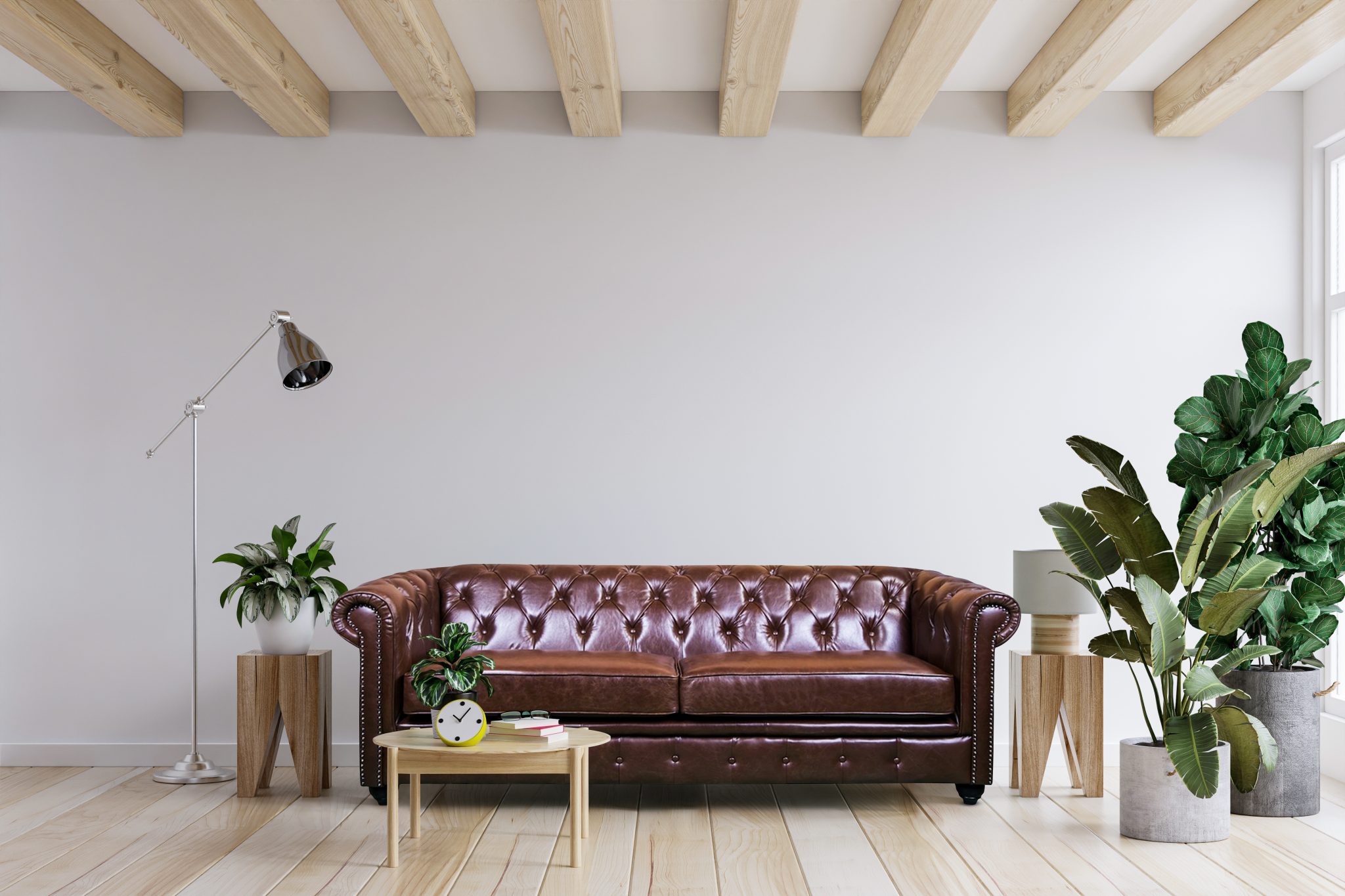 Percival Chesterfield Sofa | Brisbane | Devlin Lounges